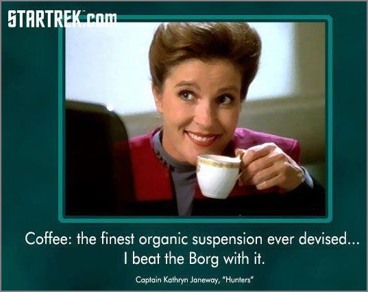 coffee-and-borg | Trek Mate